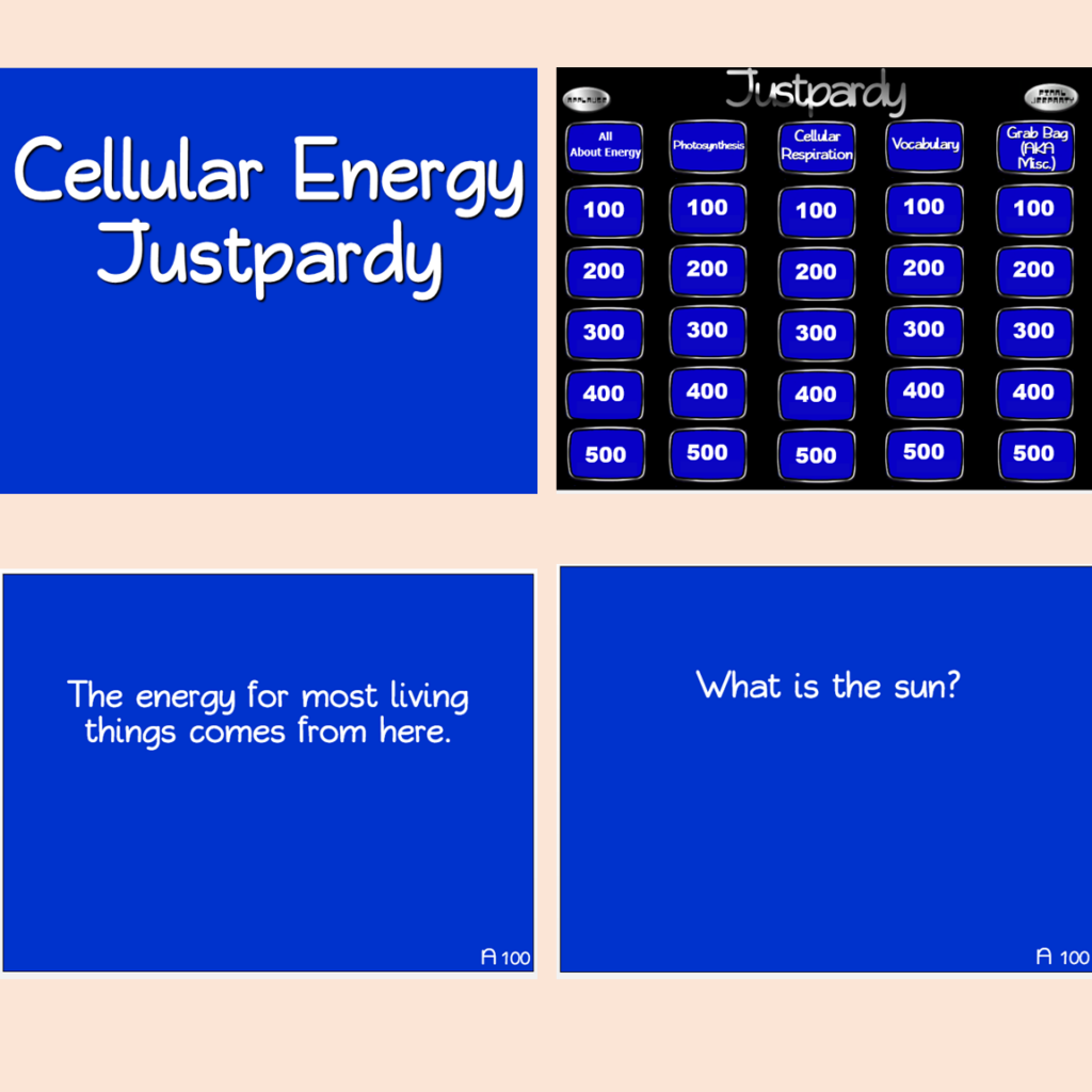 Cellular Energy Review Packet | Made By Teachers