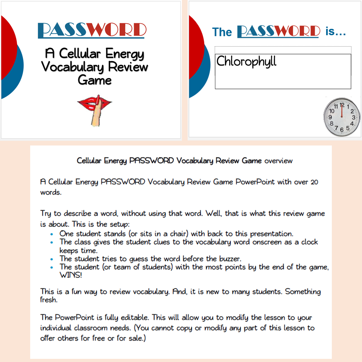 Cellular Energy Review Packet | Made By Teachers