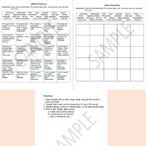 Cellular Energy Review Packet | Made By Teachers