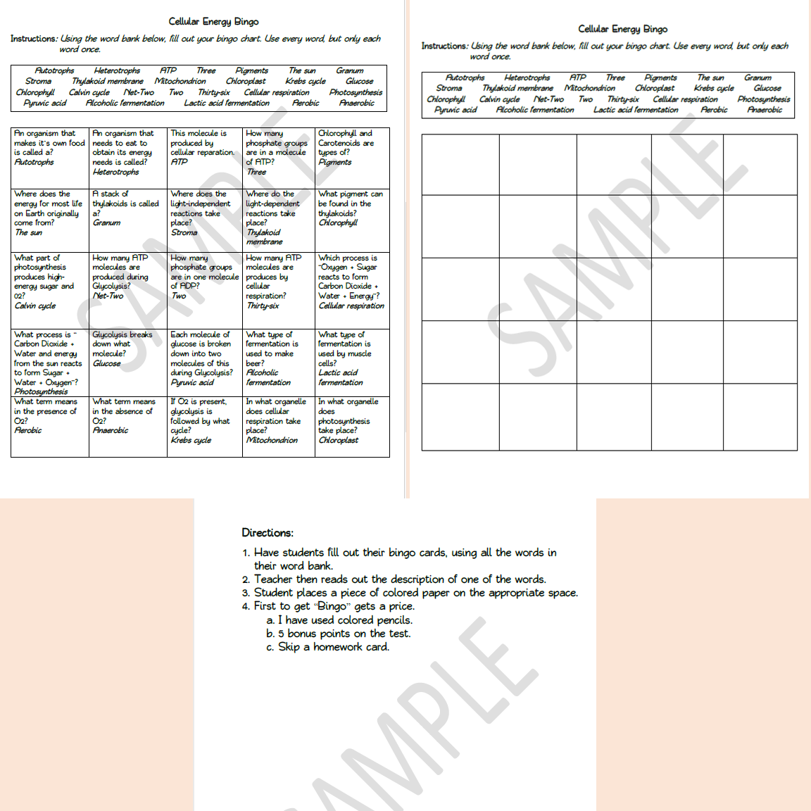 Cellular Energy Review Packet | Made By Teachers