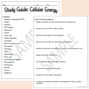 Cellular Energy Review Packet | Made By Teachers