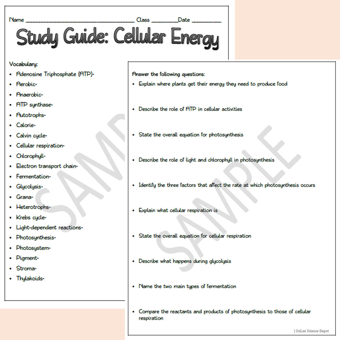 Cellular Energy Review Packet | Made By Teachers