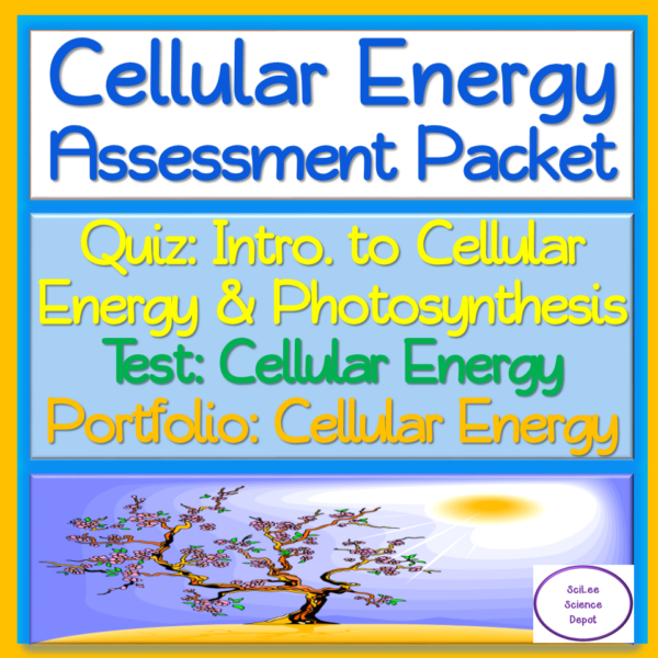 Cellular Energy Assessment Packet | Made By Teachers