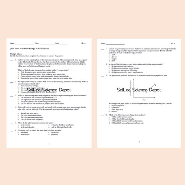 Cellular Energy Assessment Packet | Made By Teachers