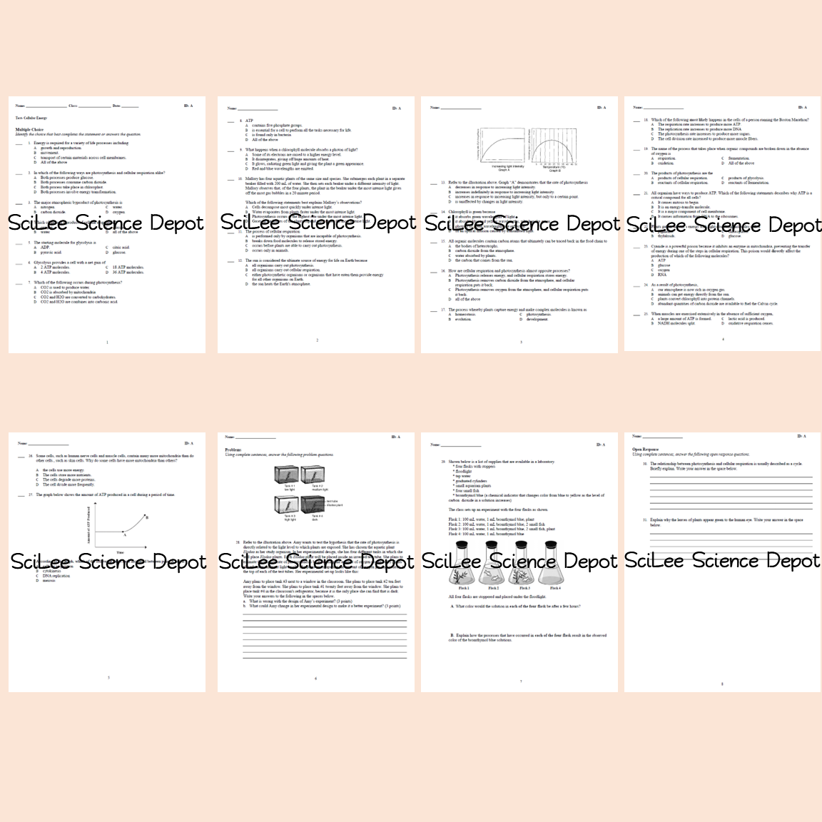 Cellular Energy Assessment Packet | Made By Teachers