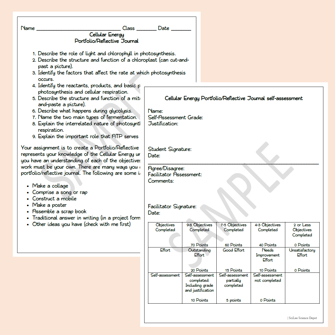 Cellular Energy Assessment Packet | Made By Teachers