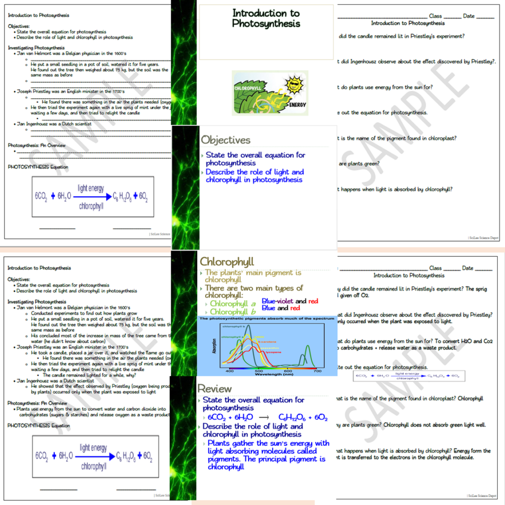 Cellular Energy NO PREP Unit Bundle | Made By Teachers