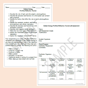 Cellular Energy NO PREP Unit Bundle | Made By Teachers