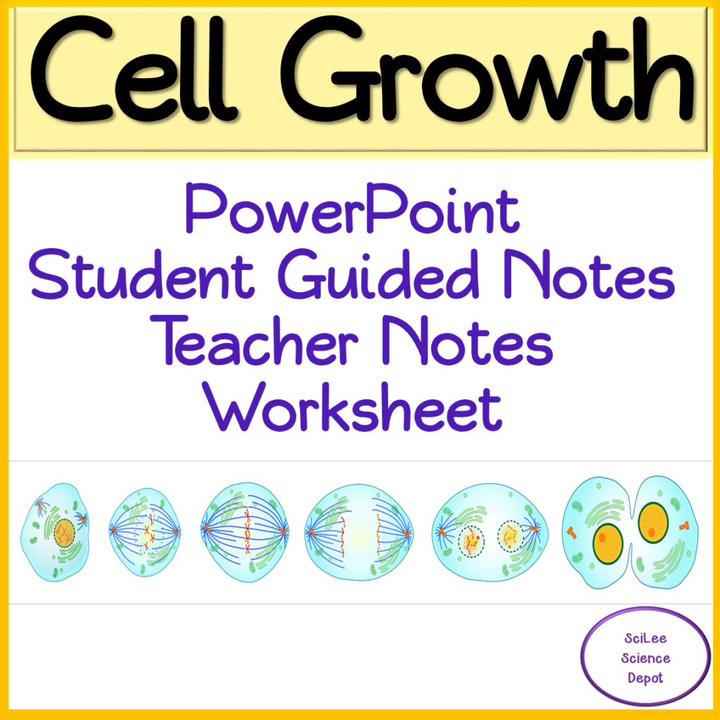 Cell Division: Cell Growth PowerPoint & Worksheet | Made By Teachers