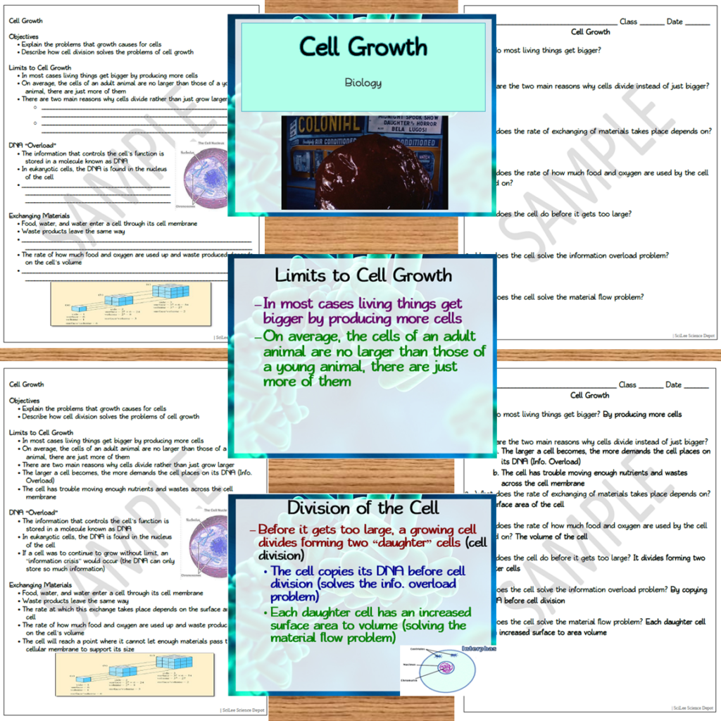 Cell Division: Cell Growth PowerPoint & Worksheet | Made By Teachers
