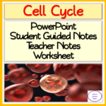 Cell Division: Cell Cycle PowerPoint & Worksheet | Made By Teachers