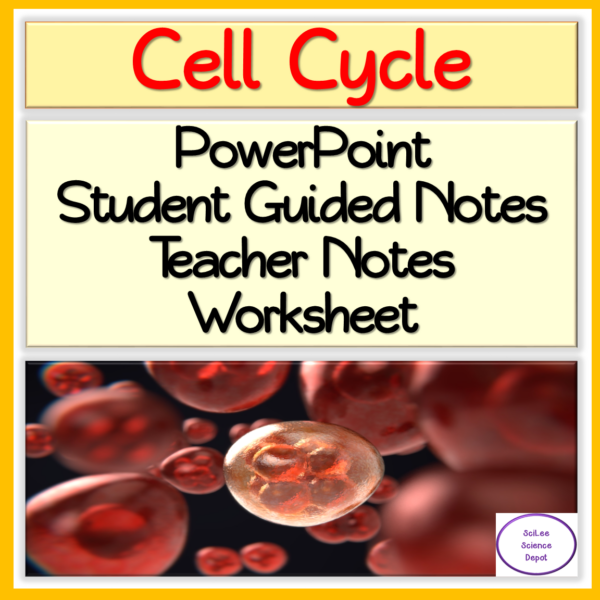 Cell Division: Cell Cycle PowerPoint & Worksheet | Made By Teachers