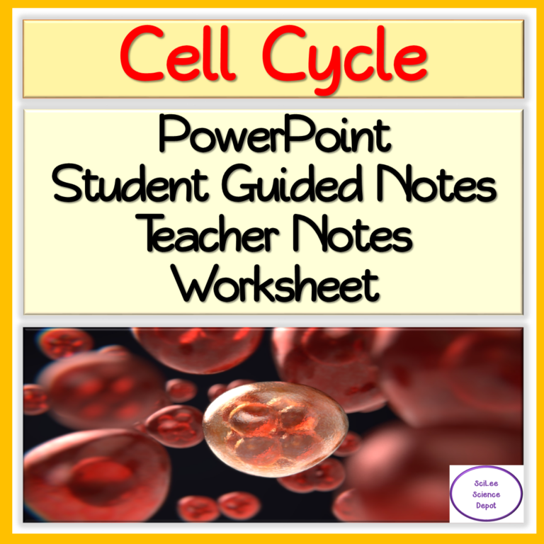 Cell Division: Cell Cycle PowerPoint & Worksheet | Made By Teachers