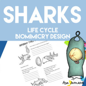 Shark Life Cycle Oviparous | Biomimicry Design Nature Compatible with ...