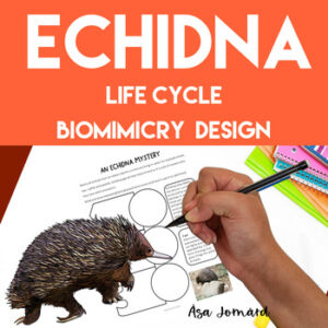 Echidna Life Cycle | Biomimicry Design Nature Compatible with NGSS ...