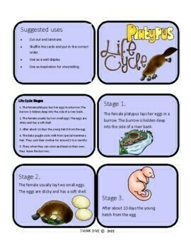 Platypus Life Cycle | Biomimicry Design Nature Compatible with NGSS ...