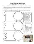 Oviparous Animals | Biomimicry Design Nature Compatible with NGSS ...
