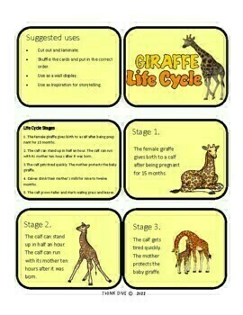 Giraffe Life Cycle | Biomimicry Design Inspired by Nature Compatible ...