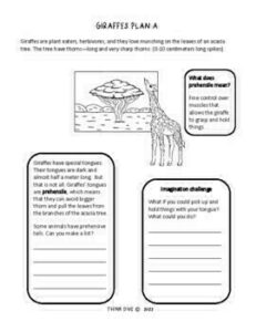 Giraffe Life Cycle | Biomimicry Design Inspired by Nature Compatible ...