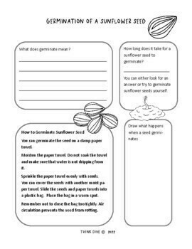 Sunflower Life Cycle | PBL Resource Biomimicry Design Inspired by ...