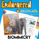 Endangered Animals Research | PBL Unit Biomimicry Design Inspired by ...