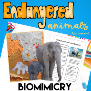 Endangered Animals Research | PBL Unit Biomimicry Design Inspired by ...
