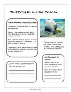 Endangered Animals Research | PBL Unit Biomimicry Design Inspired by ...