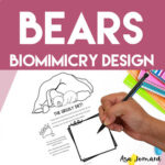 Science Bears | Biomimicry Design Inspired by Nature Compatible with ...