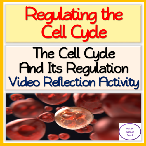 Cell Division: Cell Cycle and its Regulation Video Reflection Activity ...