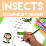 Science Insects | PBL Lapbook Biomimicry Design Inspired by Nature ...
