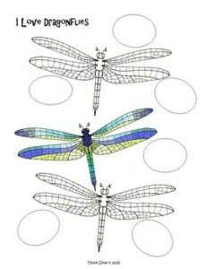 Science Insects | PBL Lapbook Biomimicry Design Inspired by Nature ...