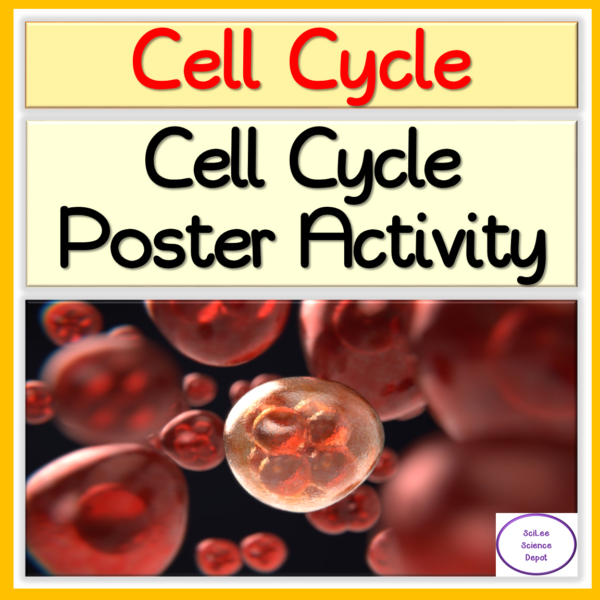 Cell Division: Cell Cycle Poster Activity | Made By Teachers