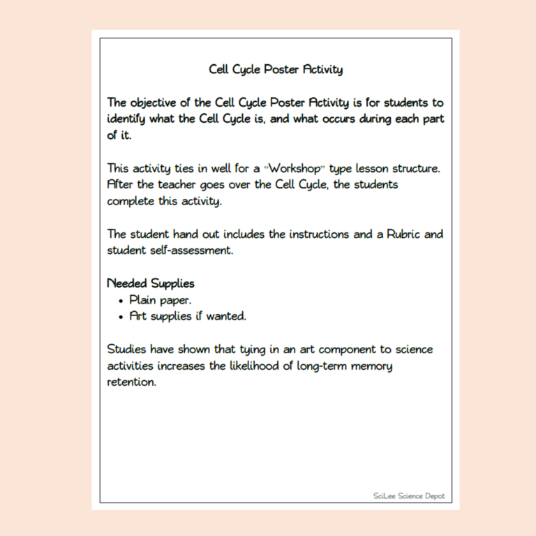 Cell Division: Cell Cycle Poster Activity | Made By Teachers