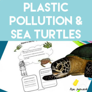 Plastic Pollution & Sea Turtles | Lapbook PBL Explore Solutions | Made ...