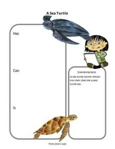 Plastic Pollution & Sea Turtles | Lapbook PBL Explore Solutions | Made ...