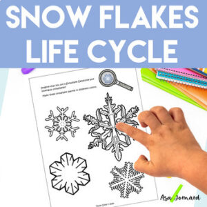 Snowflakes Life Cycle | PBL Science Math | Made By Teachers