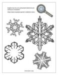 Snowflakes Life Cycle | PBL Science Math | Made By Teachers