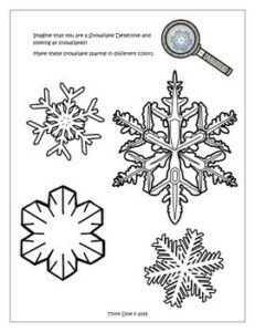 Snowflakes Life Cycle | PBL Science Math | Made By Teachers