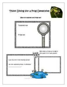 Frogs Life Cycle | PBL Biomimicry Design Inspired by Nature Compatible ...