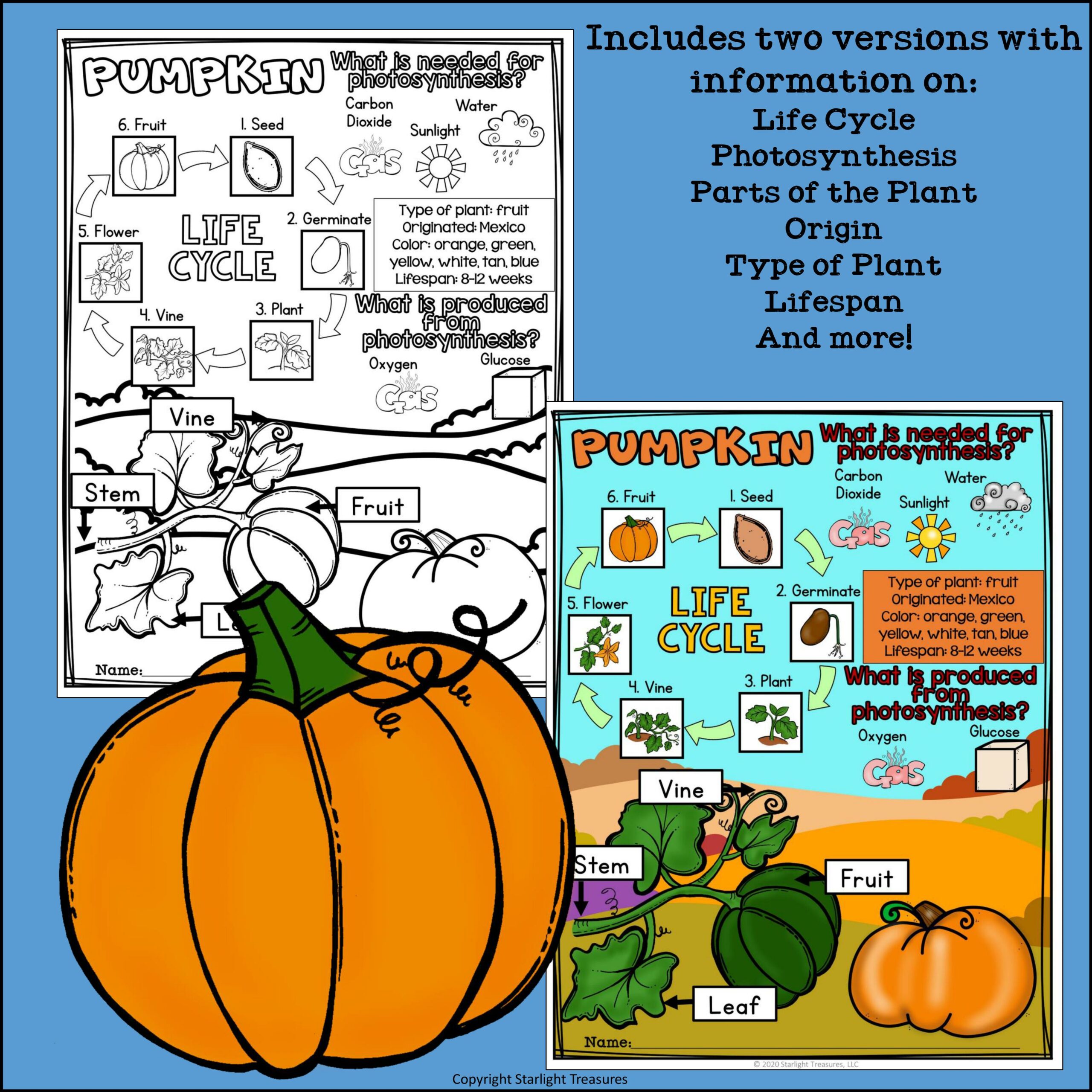 Pumpkin Fact Sheet for Early Readers - FREEBIE - Plant Study | Made By ...