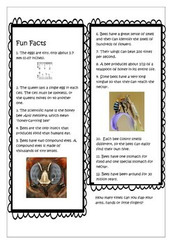 Bee Life Cycle | PBL Biomimicry Design Inspired by Nature Compatible ...