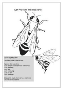 Bee Life Cycle | PBL Biomimicry Design Inspired by Nature Compatible ...