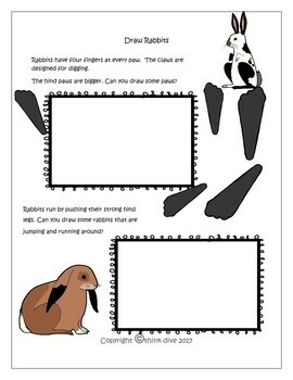 Rabbit Life Cycle | PBL Biomimicry Design Inspired by Nature STEAM ...