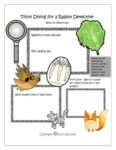 Rabbit Life Cycle | PBL Biomimicry Design Inspired by Nature STEAM ...