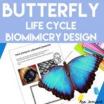Butterfly Life Cycle | PBL Biomimicry Design Inspired by Nature | Made ...