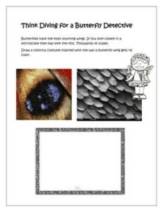 Butterfly Life Cycle | PBL Biomimicry Design Inspired by Nature | Made ...