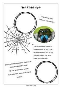 Spiders | PBL Halloween Science Biomimicry Spooky Design Inspired by ...