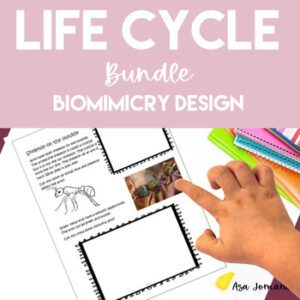 Life Cycle Whole Year Bundle | Ladybug Bee Ant Frog Butterfly ...