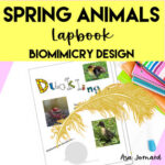 Spring Animals | PBL Resource Biomimicry Lapbook Design Inspired by ...