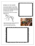 Ants Life Cycle | PBL STEAM Biomimicry Design Inspired by Nature | Made ...